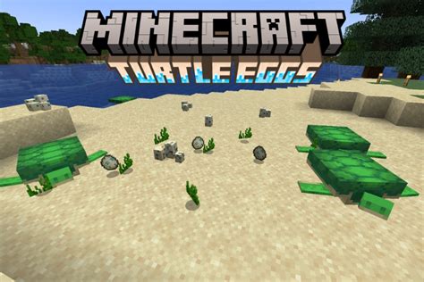 How To Hatch Turtle Eggs In Minecraft Beebom