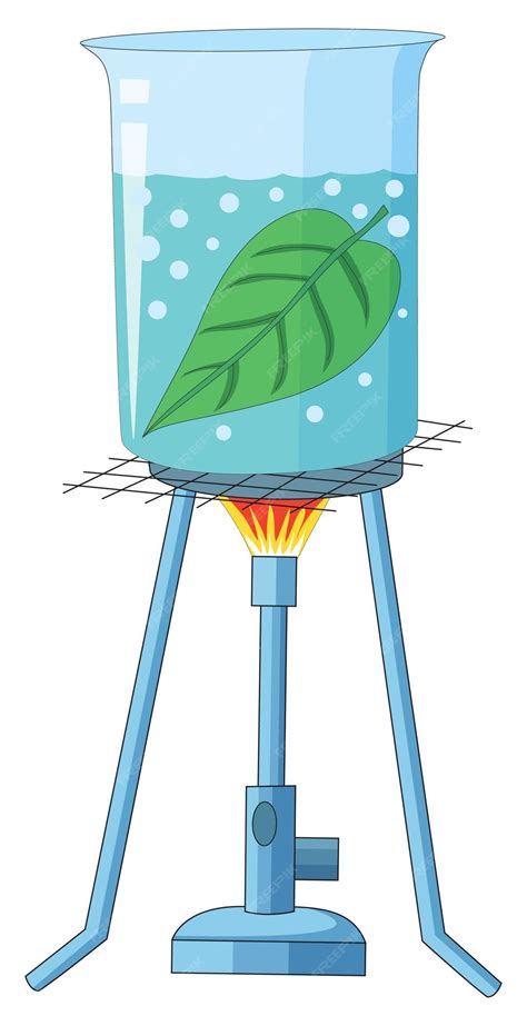Premium Vector Plant Leaf Experimentb