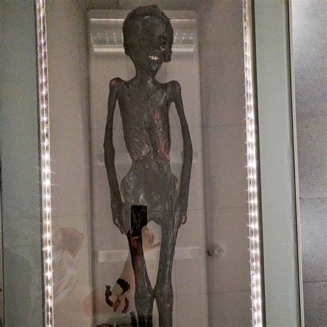 Palazzo Massimo Museum Tour Storytelling Rome Tours And Walks