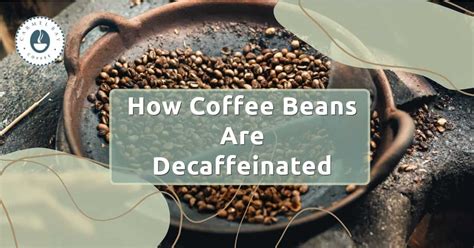 How Coffee Beans Are Decaffeinated The Surprising Truth Carmel Bay