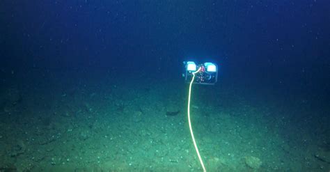 Ardusub 3 5 1 Released With Companion And Qgc Updates Blog Ardupilot Discourse