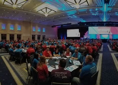 Root Learning Map Big Picture Root A Part Of Accenture