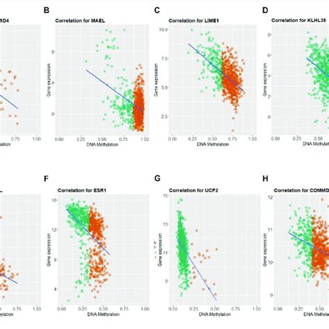 Correlation Between Dna Methylation And Gene Expression Of The Eight