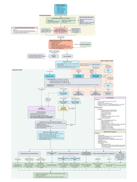 Medical Algorithms Pdf