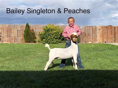 Bailey Singleton Milk N More