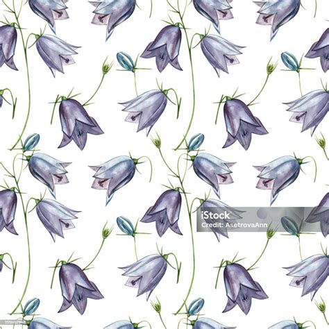 도라지 꽃 나뭇잎과 꽃다발 세트 원활한 패턴 꽃과 나뭇잎의 수채화 세트 흰색 배경에 고립 된 손으로 그린 꽃 그림 식물 예술 0