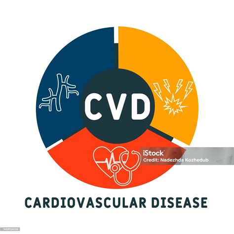 Cvd Cardiovascular Disease Stock Illustration Download Image Now