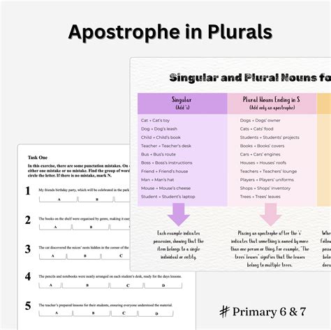 Apostrophe In Plurals Spot The Mistake Ni Primary School Resources