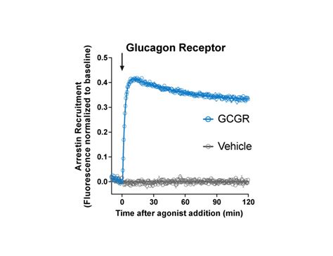 Borealis Arresitn Gcgr D2140g Montana Molecular