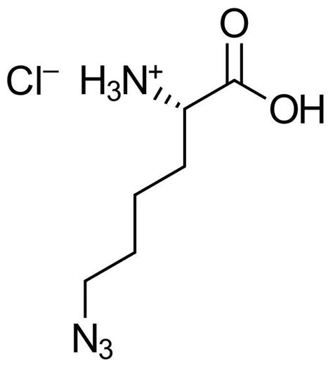 Baseclick Bioconjugation Cell Proliferation Lucerna Chem