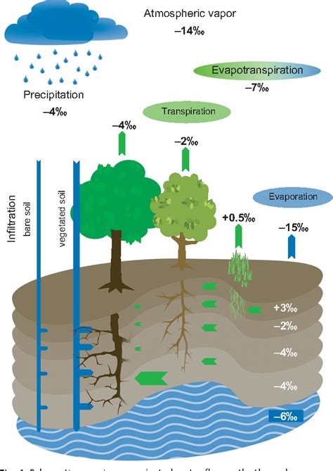 Figure 1 From Resolving Rapid Dynamics Of Soil Plant Atmosphere