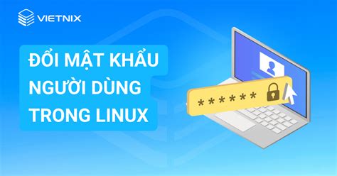 5 Ví Dụ Sử Dụng Lệnh Copy File Trong Linux Sao Chép đễ Hiểu