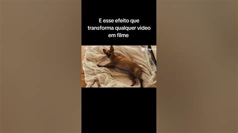Vídeo Loirinha Da Tc The Choice Loirinha Da Tc Em Alta Youtube