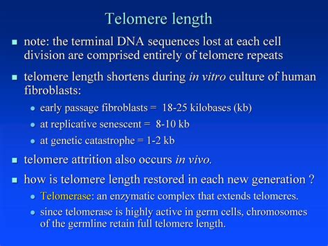 Oncogenes I And Ii Readings For Both Lectures Ppt Download