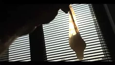 Tiery B Nutritivo 1 Xhamster