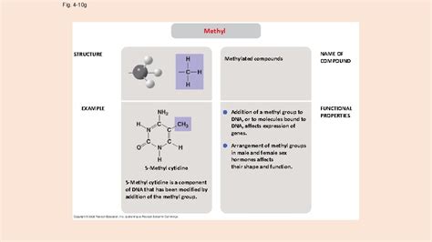Functional Groups Fig 4 10 A Chemical Group