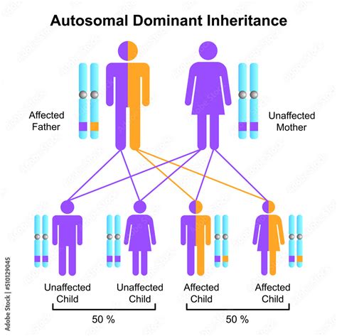 Scientific Designing Of Autosomal Dominant Inheritance Colorful