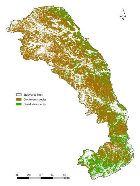 The Result Of The Classification Of The Tree Species Download Scientific Diagram