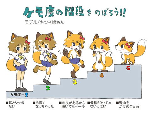 Anthro Chart