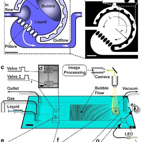 Pdf Bubbles No More In Plane Trapping And Removal Of Bubbles In Microfluidic Devices