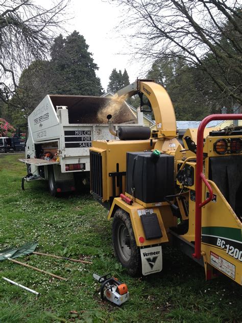 Mulching Services Melbourne Eucalyptus Tree Services