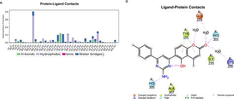 Plot Represent Protein Ligand Contacts A And Ligand Protein Contacts Download Scientific