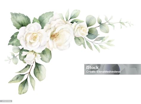 수채화 벡터 모서리 테두리 프레임 와 녹색 유칼립투스 잎 와 White 장미 와 결혼식 초대장 인사말 카드 날짜 저장 문구 디자인을 위한 Greenery 클립아트 손으로