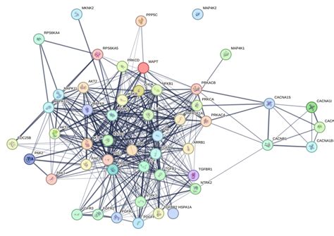 pathcards mapk signaling pathway pathway and related pathways