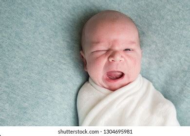 Naked Newborn Baby Sleeping Basket View Stock Photo Shutterstock
