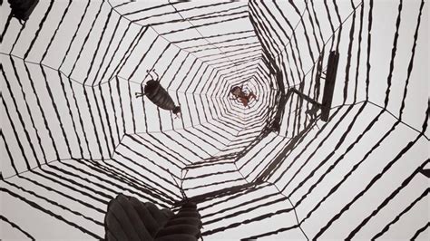 The Ending Of Coraline Explained