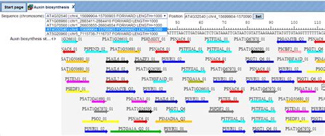 Sequence Analysis — Genexplain Platform Documentation
