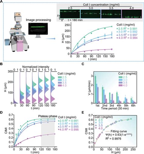 Quantitative Comparisons Between Spatiotemporal Processes Of Cell Download Scientific Diagram