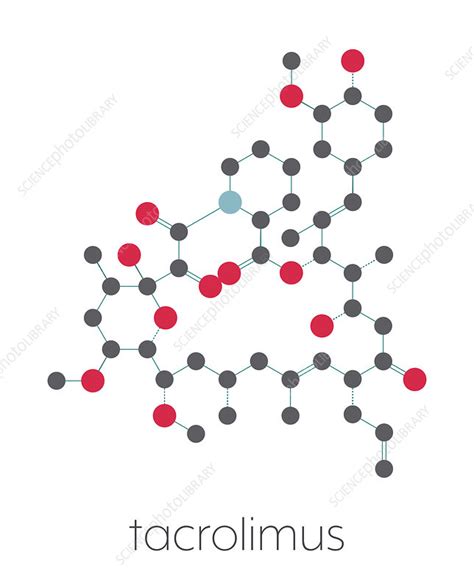 Tacrolimus Immunosuppressant Drug Molecule Illustration Stock Image