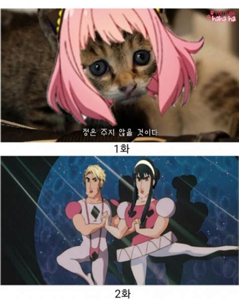 스파이 패밀리 애니 1~13화 요약