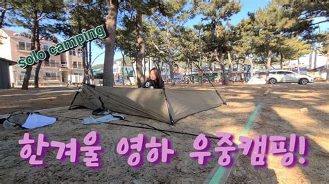 새텐트 첫화목난로 개시캠핑 Youtube