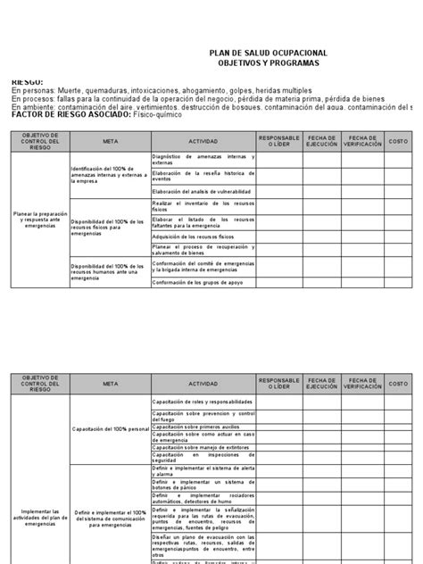 Anexo 8 Plan De Salud Ocupacional Ejemplo Pdf Seguridad Y Salud