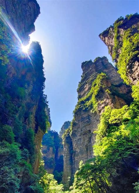 张家界金鞭溪（张家界金鞭溪旅游） 十日日知识
