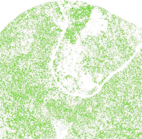 Medium Vegetation Lidar Return Height Check Download Scientific