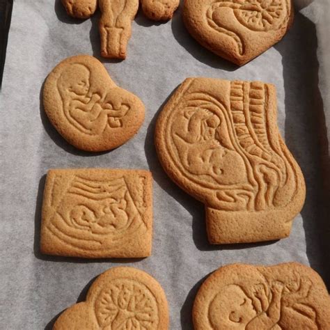 Uterus Cookie Cutter Womb Anatomy Physiology Medicine Penis Cookies