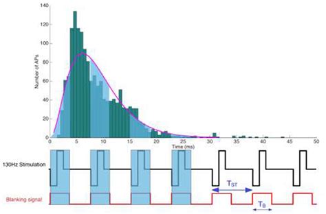 Frontiers When The Ostrich Algorithm Fails Blanking Method Affects