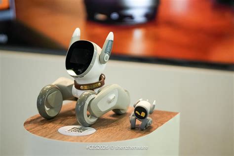 把具身 Ai 养在桌面上：loona Deskmate 如何用刚需接住大模型的地气？ Ces2026 知乎