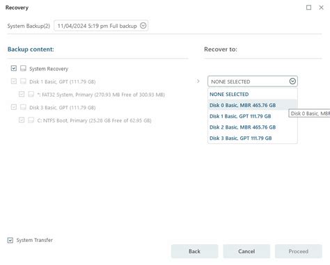 Virtual Disaster Recovery