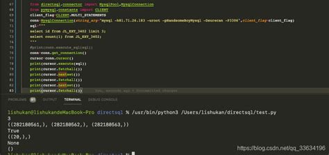 Pymysql Allowmultiqueriestrue 一次性执行多条不同语句 Csdn博客