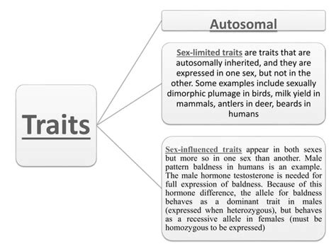 Sex Determination Ppt