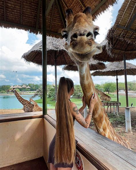 Pov An Imgur Mod Is Looking At You And Your Post Deciding Whether To