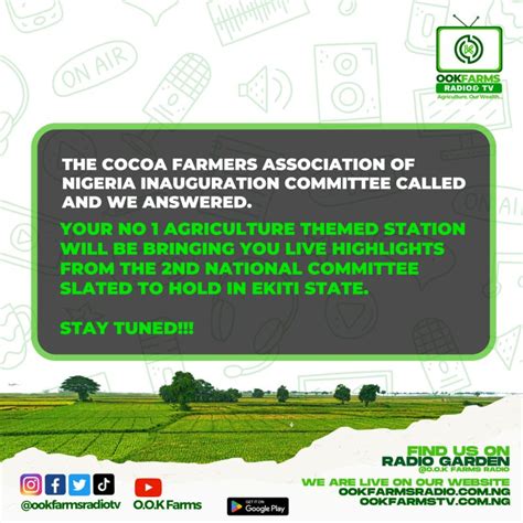 Omolara Svensson Posted On Linkedin