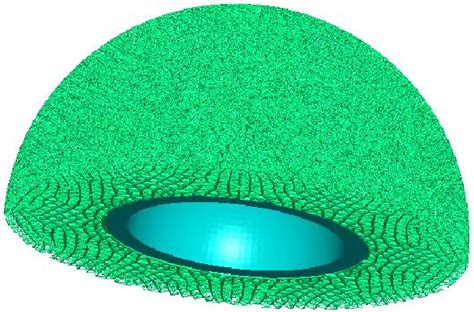 Figure 11 From Design Of A Graded Cellular Structure For An Acetabular Hip Replacement Component