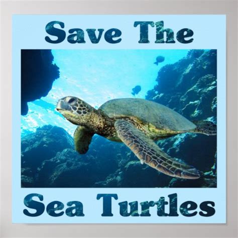 Save The Sea Turtles Poster