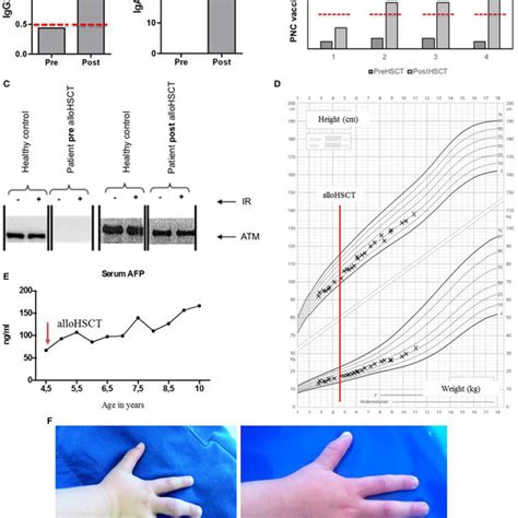After Allogeneic Hematopoietic Stem Cell Transplantation Allohsct Download Scientific