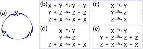 A Schematic Illustration Of The Transition Events Of The Cyclic